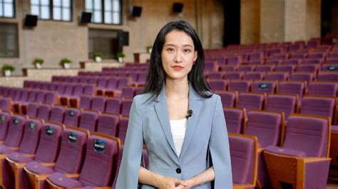 Scholars China U S Decoupling In Ai Proves Impossible Cgtn