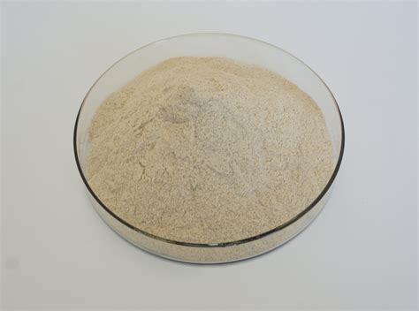 Applications Of Proteases Chinese Factory Provide Top Quality