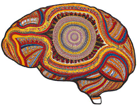 What Are Brain Networks