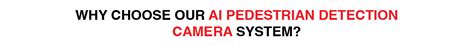 Parksafe Group Ai Intelligent Detection Camera System