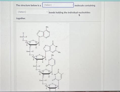 Solved The Structure Below Is A Nucleoside Nucleotide Chegg Com