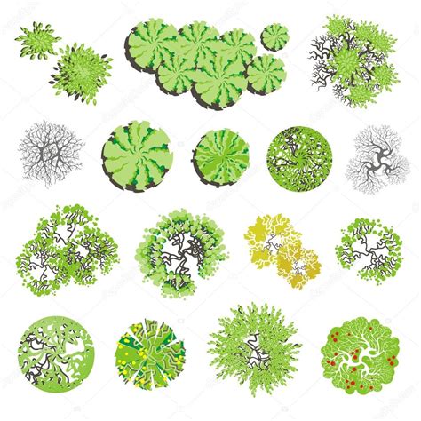 Colored Trees Top View Easy To Use In Your Landscape Design P Stock