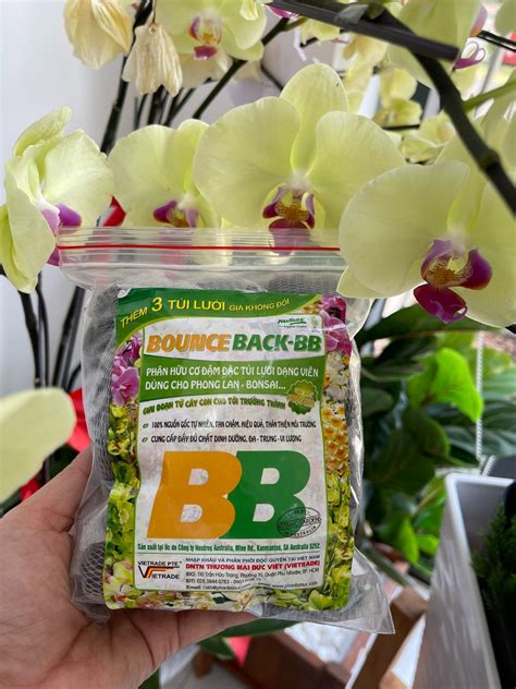 Phân Hữu Cơ đậm đặc Túi Lưới Dạng Viên Dùng Cho Phong Lan Bounce Back Dụng Cụ Hỗ Trợ Làm Vườn