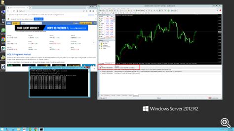 I Think My Ip Is Banned What Can I Do Metatrader 5 General Mql5