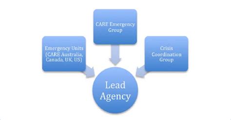 Sample Emergency Response Structure A Care Emergency Group And The