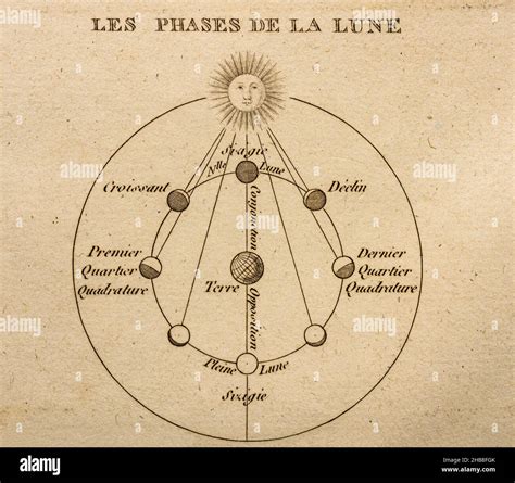 Antique Printed Diagram Showing Phases Of Moon Stock Photo Alamy