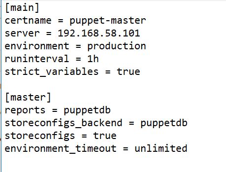 Ubuntu Facing Issues In Puppetserver Puppet Agent Configuration Stack Overflow
