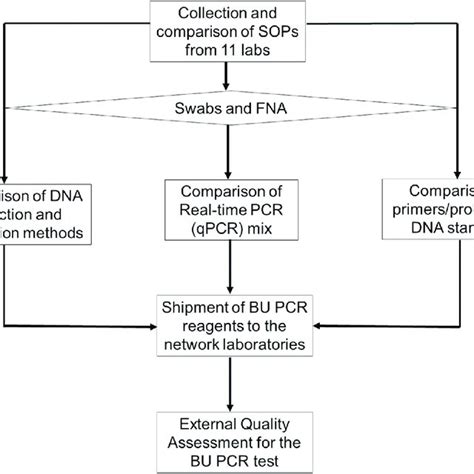 Comparison Of Qpcr Mixes And Primers Probe Sets For Sensitivity And Download Scientific Diagram