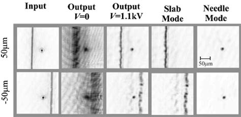 Extended hybrid dimensional interaction for ᐉ d d m top Download Scientific