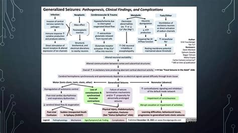 Approach To First Time Seizures In Adultspptx