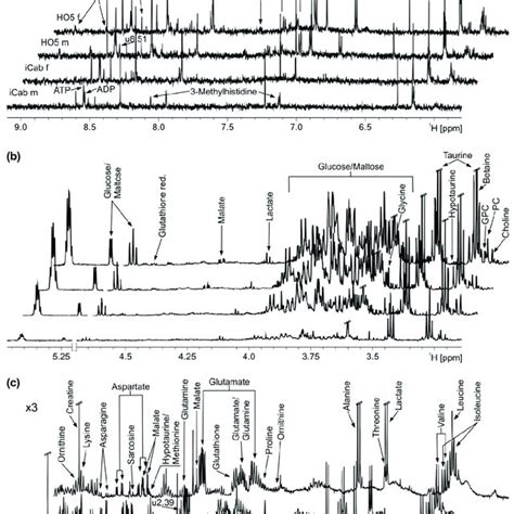 Representative 1 H Nmr Spectra Before Normalization With Annotations Download Scientific