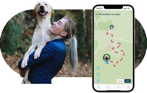 GPS-ошейник (трекер) для собак Petsee купить на официальном сайте, цена ...