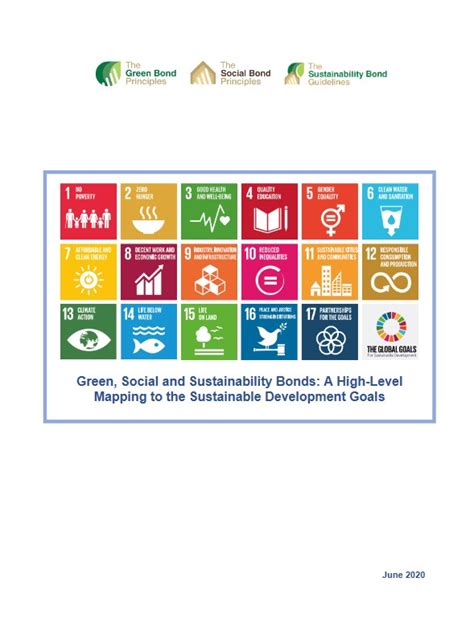 Mapping To The Sustainable Development Goals Icma International