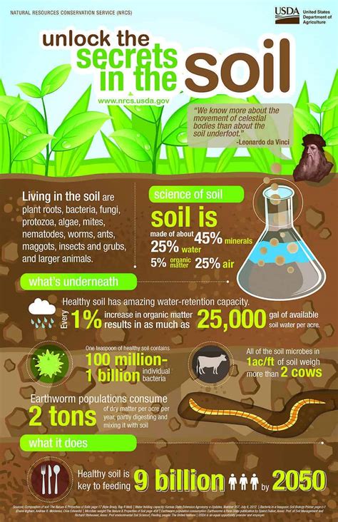 Your Soil Has Secrets Bay Weekly