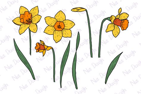 Flower Illustration Daffodil Flower Svg Graphic By Nurdesign99