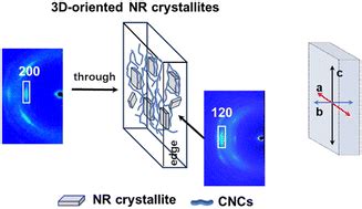 Control Of D Oriented Strain Induced Natural Rubber Crystallites Under Spatial Confinement