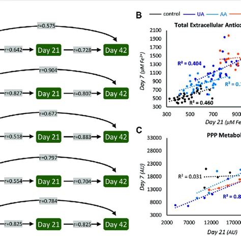 Intra Parameter Correlations During Storage A Correlations Between Download Scientific