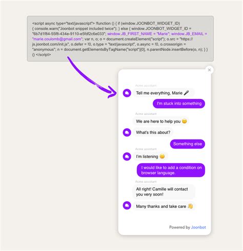Chatbot Hidden Fields Joonbot
