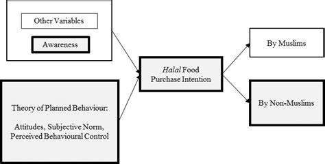 Difference Between Schematic Diagram And Conceptual Framework Wiring Diagram