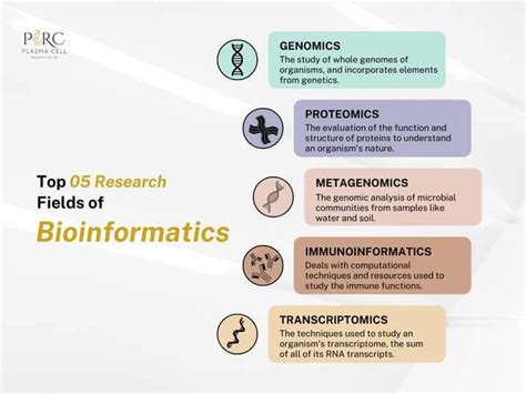 Plasma Cell Research Center Pcrc On Linkedin Bioinformatics