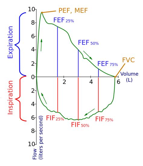 Spiromètre Pour Quelle Utilisation
