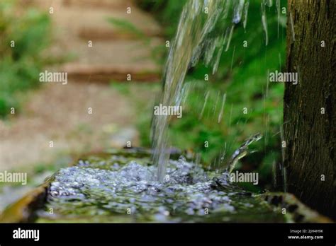 Close Up Of Water Pouring And Splashing Down Into A Wooden Tree Trunk Fountain Blurred