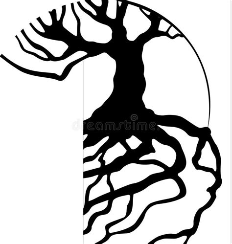 Tree Roots Stock Vector Illustration Of Brunches Roots