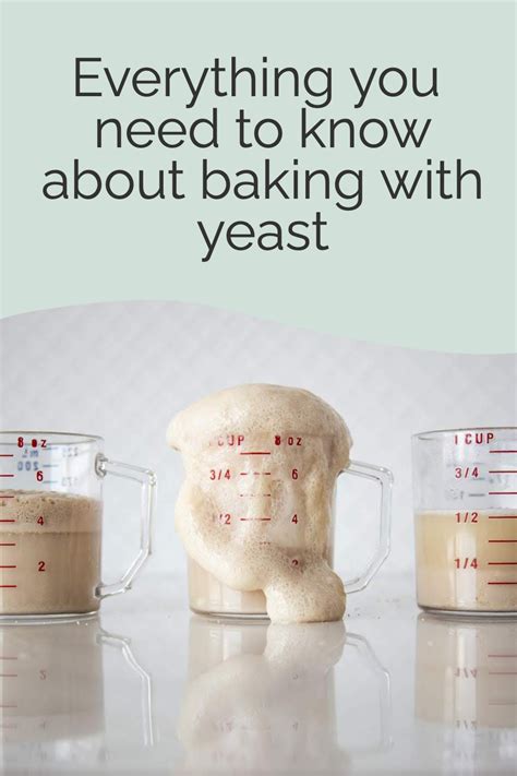 Yeast Recipes Hate Me Artofit