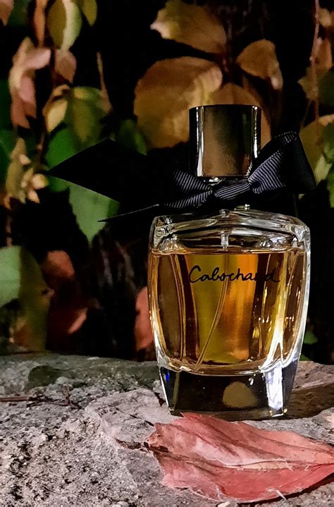 Cabochard Eau de Parfum 2019 Grès Parfum - ein es Parfum für Frauen 2019