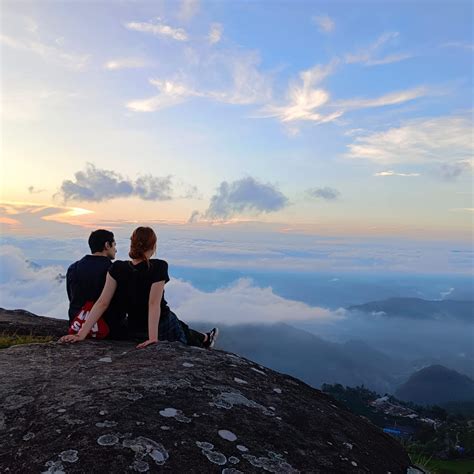 A Day In Munnar Nature Culture And Local Flavor