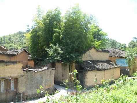 村民捞到一条鲤鱼后，家里发生怪事，才知道鲤鱼已成精