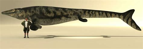 Mosasaurus Size Comparison