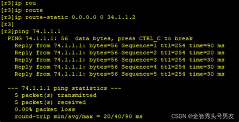 ospf综合实验 csdn博客