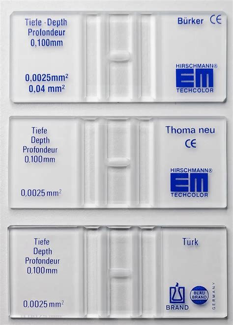How To Count Cells With A Hemocytometer Chemometec 51 Off