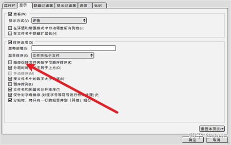 Directory Opus 配置记录与分享 知乎