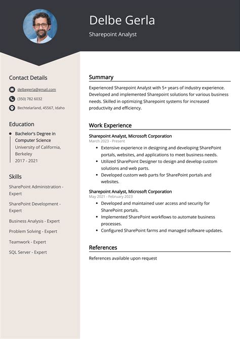 Sharepoint Analyst Cv Examples Template And 20 Tips