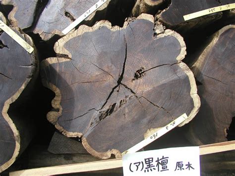 原木 ア 黒檀 No 世界の五大銘木黒檀 井上唐木木の文化 唐木製品の製造販売 原木材料製品加工修理