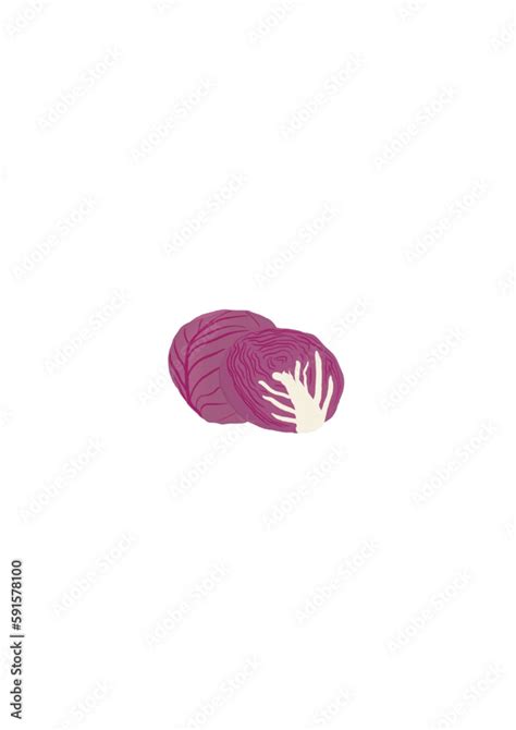 Llustration Of A Whole Red Cabbage And A Halved Red Cabbage Minimalist Drawing Of Rawness On