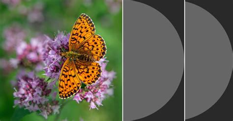 List Css Curated By Manu Mishra Medium