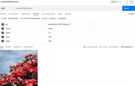 Create Image Service In Golang Heavy Images Can Negatively Impact Both