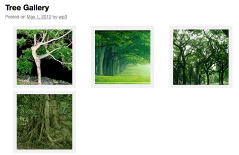Easy Steps To Add Lightbox Effect To Wordpress Galleries