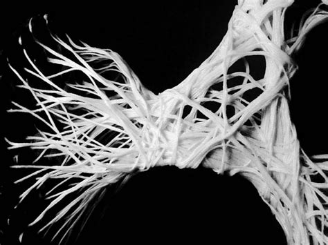 Itech M Sc 2014 Emergent Fiber Arrangements Institute For Computational Design And