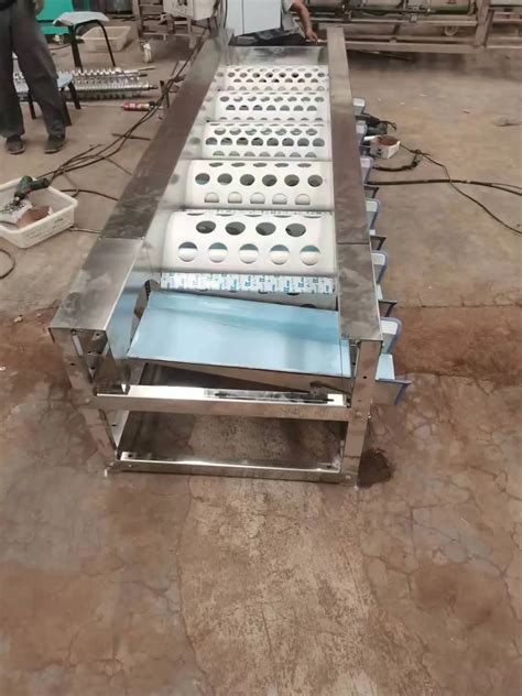 dragon fruit sorting grading machine sorter grader machine line