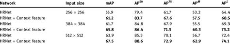the effect of input size on the coco validation set download