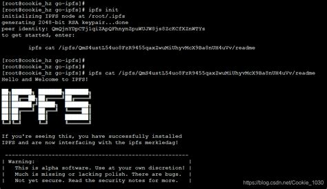 Linux下ipfs安装（安装包）ipfs的tar包下载 Csdn博客