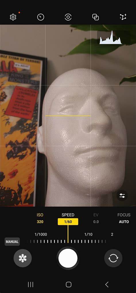 Manual Camera Settings Guide At Tayla Bruton Blog