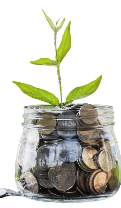 passive investor toolkit learn passive investing