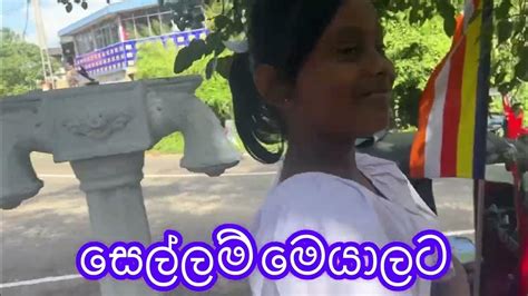 විද්‍යානන්ද දහම් පාසල ශ්‍රමදාන වැඩසටහන 2024 Youtube