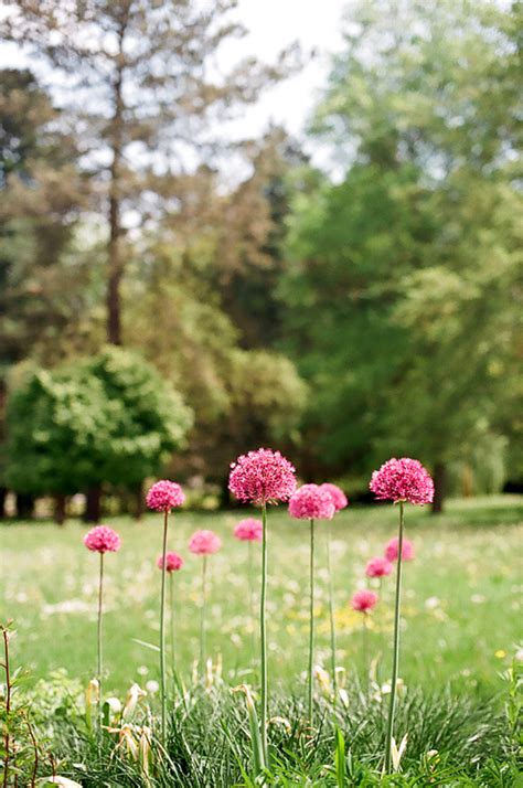 유토이미지 체코 체스키 크롬로프 므네스트 스키 공원 필름사진 Nn011017