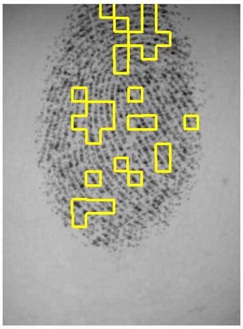 Segmentation Results For Fingerprint Images From Fvc 2002 Download Scientific Diagram
